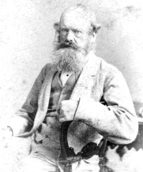 Johnson-Meadows Family Tree